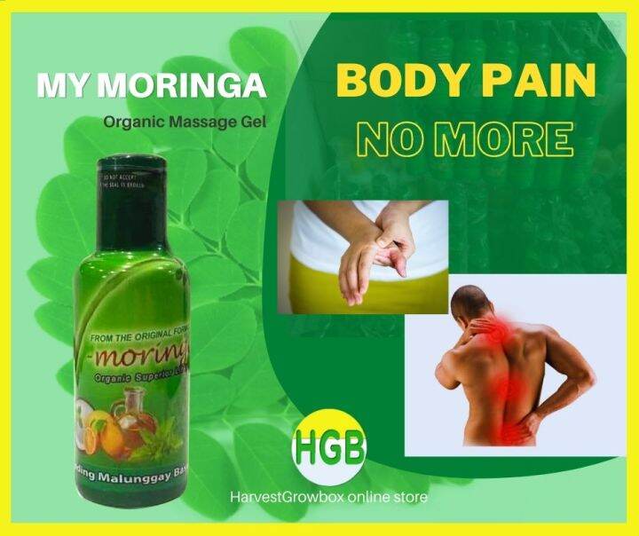 My Moringa Organic Liniment Oil 100% Original 100% Organic My Moringa ...