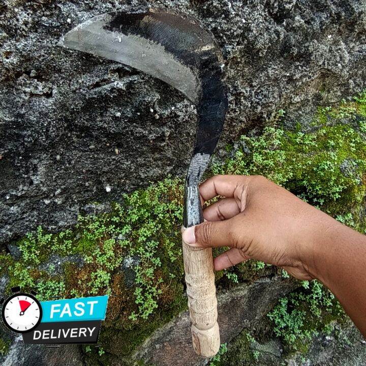 Arit sabit padi kecil-sabit rumput asli jawa timur super tajam-sabit ...
