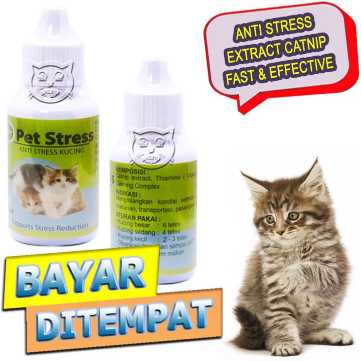 Obat Stress Kucing Galak Murung Pendiam Superior Formula Pet Stress ...