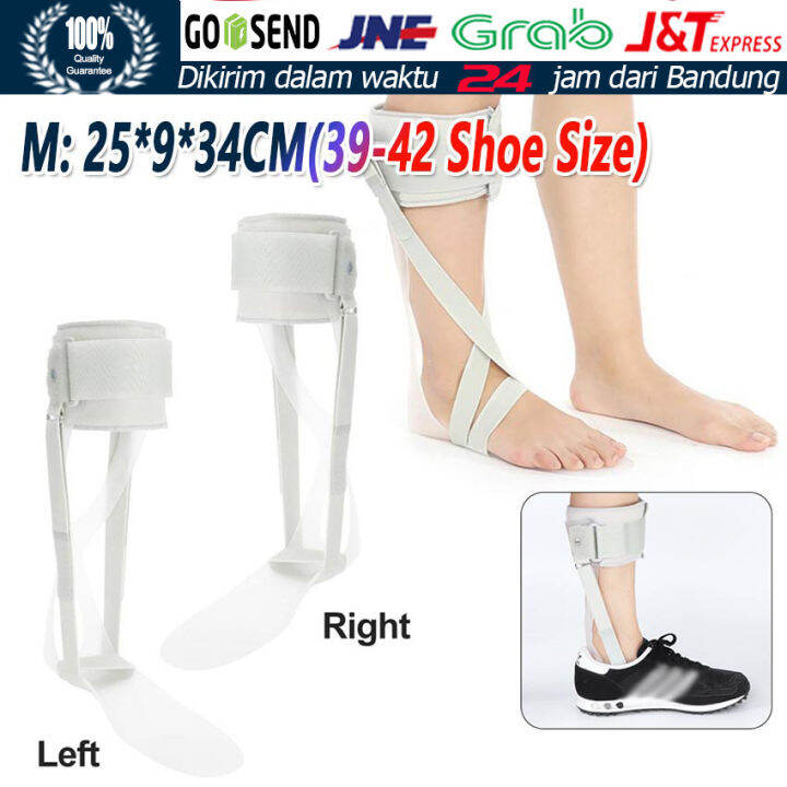 Ankle Foot Orthosis AFO Ankle Corrector Cedera Controlling Drop Foot ...