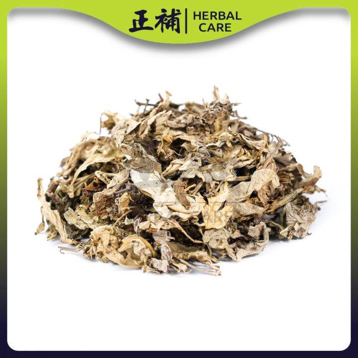 Herbal Care Chinese Mugwort Leaves (Ai Ye) | 艾叶 艾草 艾蒿 | Daun Mugwort ...