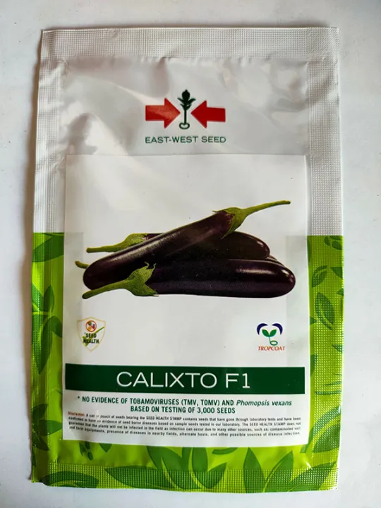 EAST WEST CALIXTO F1 EGGPLANT SEEDS ( KA ASENSO PACK) | Lazada PH