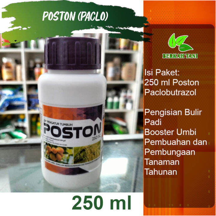 Poston 250 ml Paclobutrazol Booster Buah dan Umbi | Lazada Indonesia