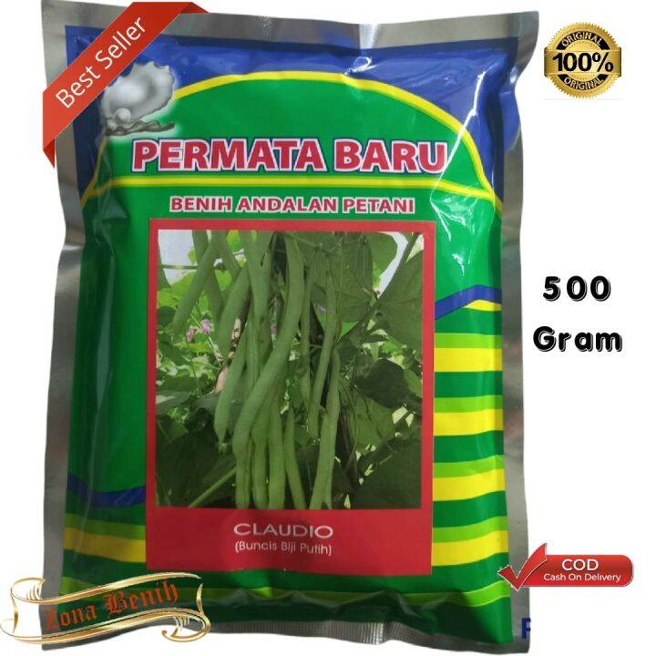 BIBIT BUNCIS UNGUL BIJI PUTIH CLAUDIO ISI 500 GRAM, BENIH BUNCIS UNGGUL ...