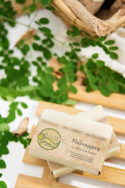 Organic Malunggay Aloe vera soap | Lazada PH