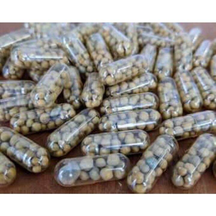 Osmocote root tabs for Aquascaping Aquatic plants | Lazada PH