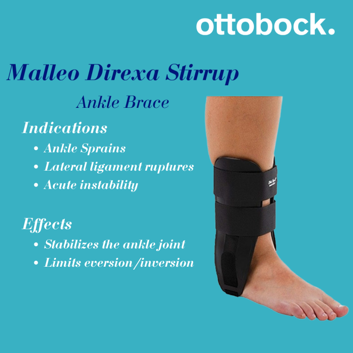 Malleo Direxa Stirrup | Lazada PH