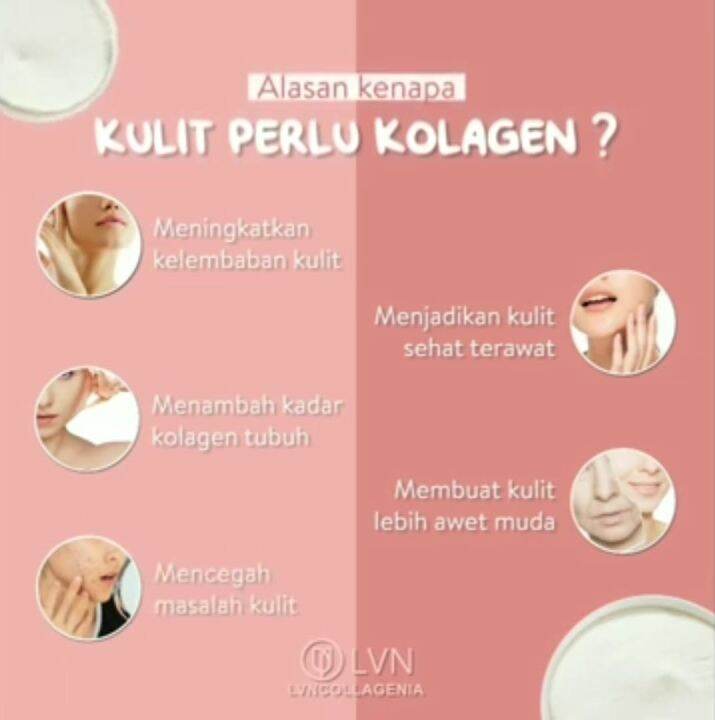 LVN Collagenia Original Kolagen Untuk Kulit, Rambut, Kuku, Pencernaan ...