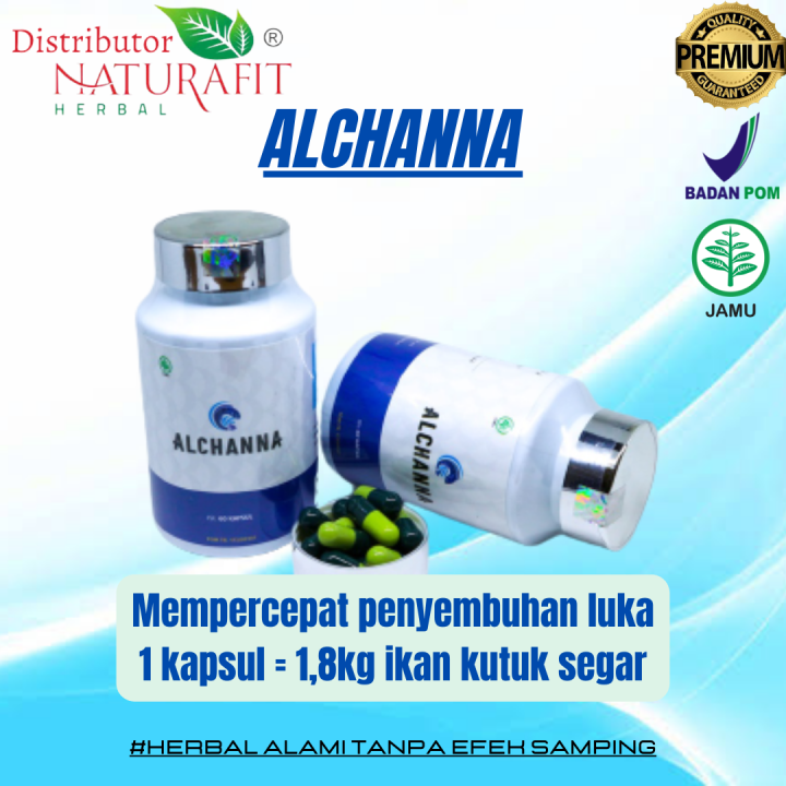 ALCHANNA Kapsul Kutuk Berkualitas Original Kapsul Ekstrak Ikan Gabus ...
