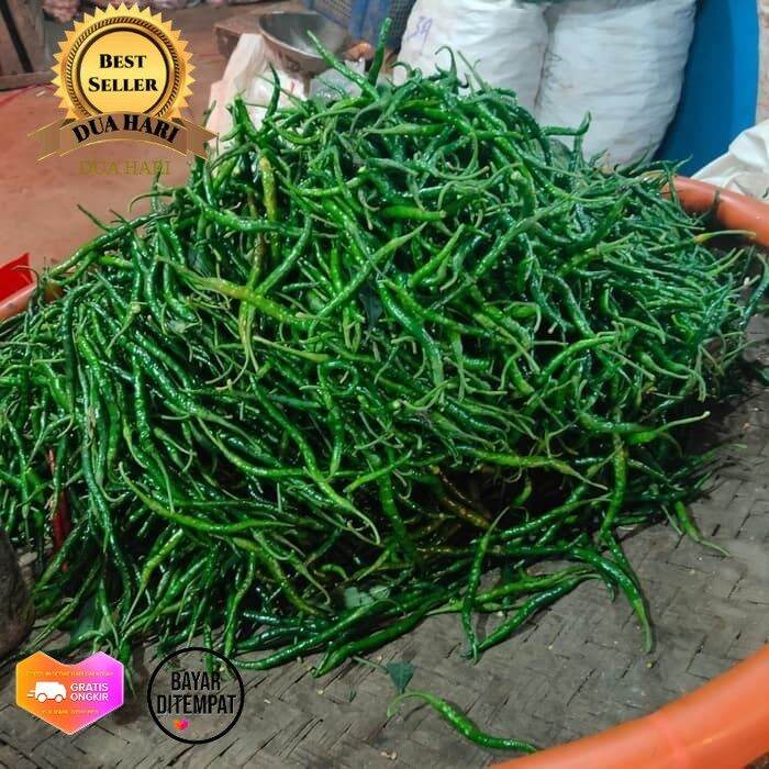 cabe ijo keriting 1kg murah cabai kriting hijau | Lazada Indonesia
