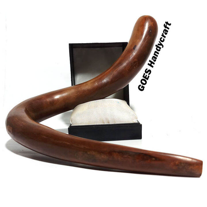 Once pipa HISAP kayu AKAR SETIGI UNIK ASLI NATURAL 30 cm | Lazada Indonesia