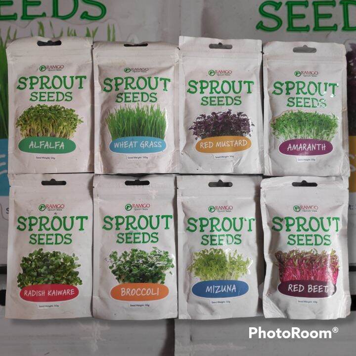 Ramgo Sprouts / Microgreens (Alfalfa, Radish, Wheat Grass, Broccoli ...