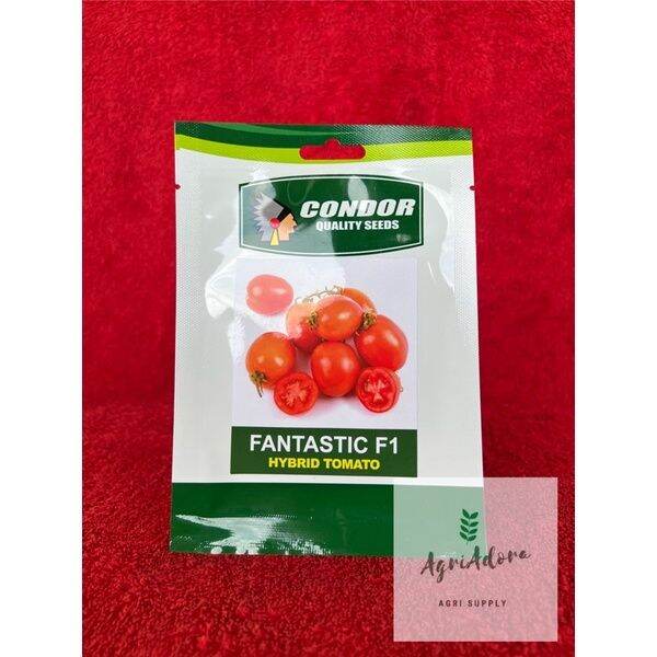 FANTASTIC F1 Hybrid Tomato Seeds Pack (CONDOR) | Lazada PH