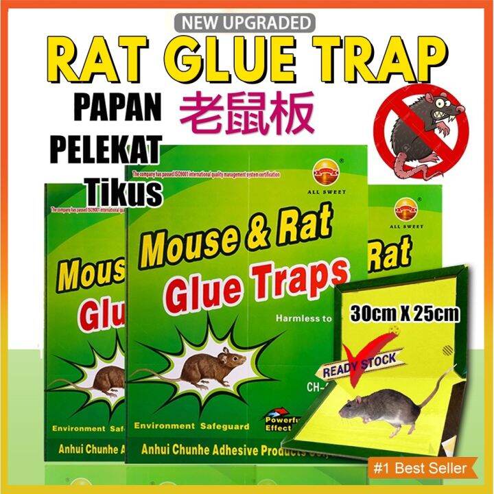 High Effective Mouse Glue Trap Strong Sticky Rodent Insects Mice Rat ...