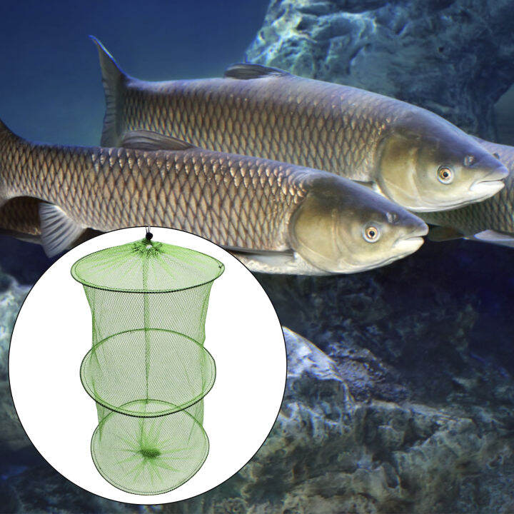 Rustproof Floating Basket Net Foldable Cages Fishing Net Fish Crab ...