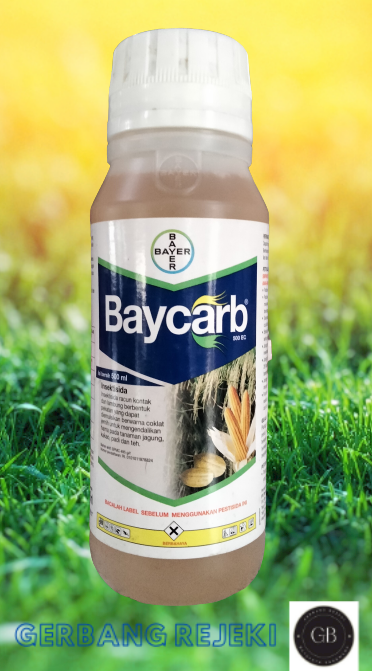 INSEKTISIDA BAYCARB 500 EC(BPMC 500 g/l) 500ml | Lazada Indonesia