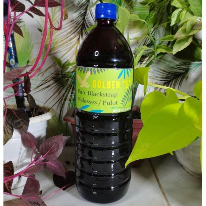 h2ofggg 2 kg - Pure Organic Blackstrap Molasses/Pulot for Animals and ...