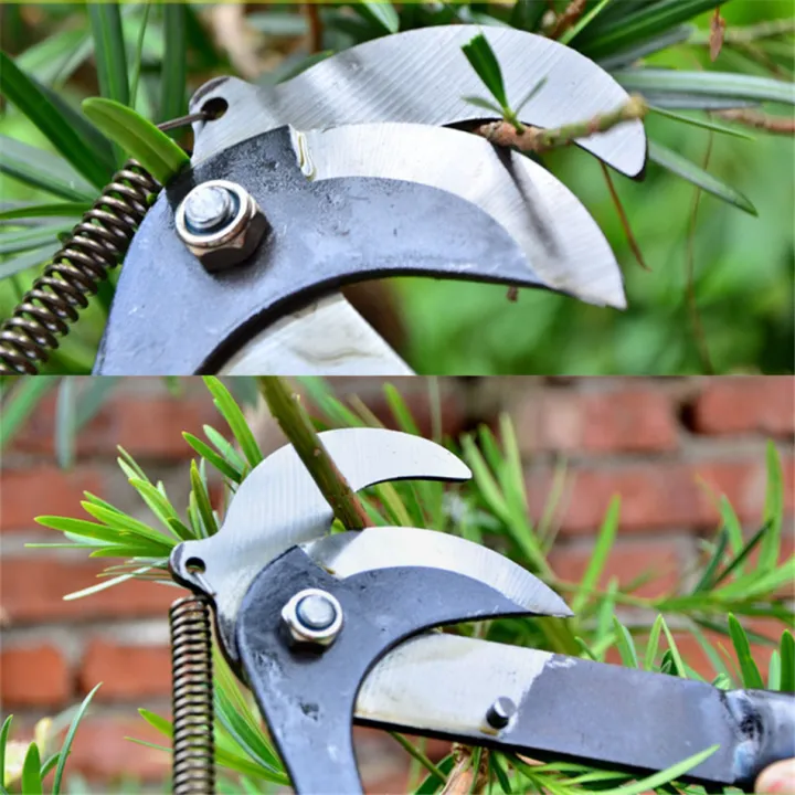 High-Altitude Pruning Shears Pulley High Branch Scissors High-Altitude ...
