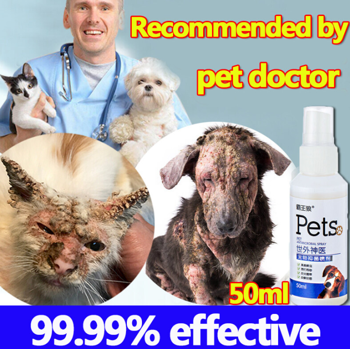 Pet Skin Treatment Spray Pet Antibacterial Spray Flea and Tick Remover ...