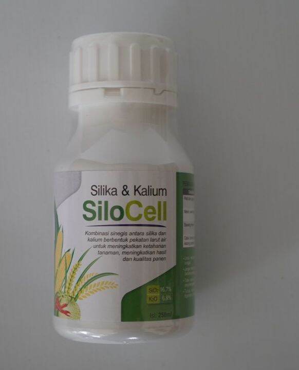 SILOCELL PUPUK SILIKA DAN KALIUM | Lazada Indonesia