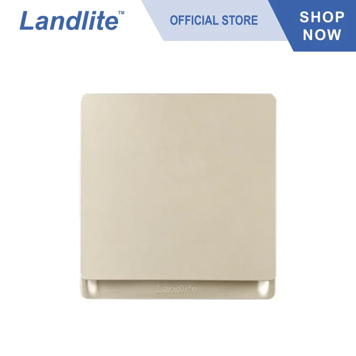 Landlite Wiring Devices LWD-Q6-1G3W-CPG | Lazada PH