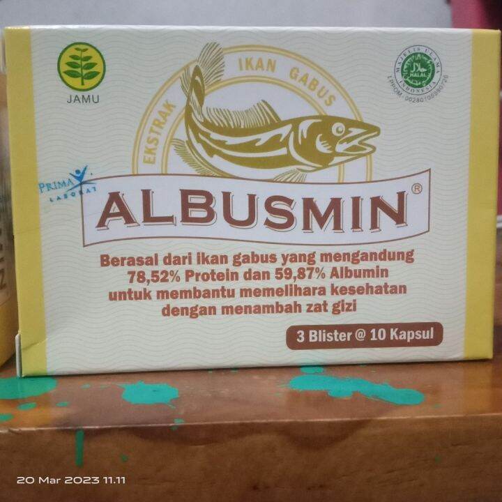 ALBUSMIN extrak ikan gabus box isi 30 kapsul | Lazada Indonesia