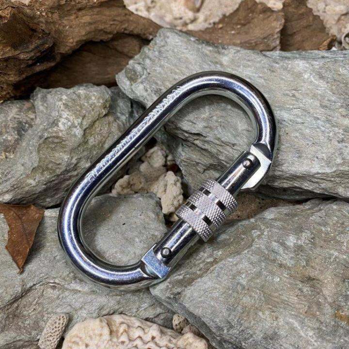 Adela AF-09 Screw Lock Carabiner | Lazada PH