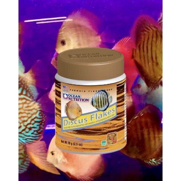 OCEAN NUTRITION DISCUS FLAKES 70g | Lazada PH