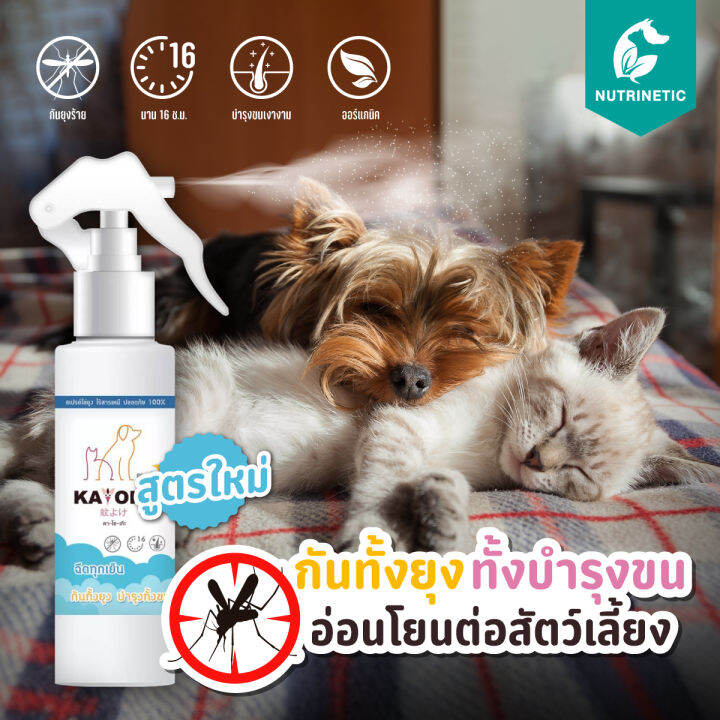 *Kayoke Plus สเปรย์กันยุงนานสูตรเพิ่มบำรุงขน สารสกัดธรรมชาติ อ่อนโยน ...