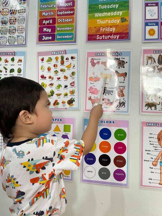 EDUCATIONAL POSTER LAMINATED A4 SIZE | Lazada PH