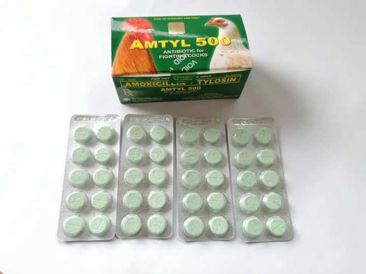 [CLR AGRIVET] 40 TABLETS AMTYL 500 GAMEFOWL SUPPLEMENT/ Poultry supply ...