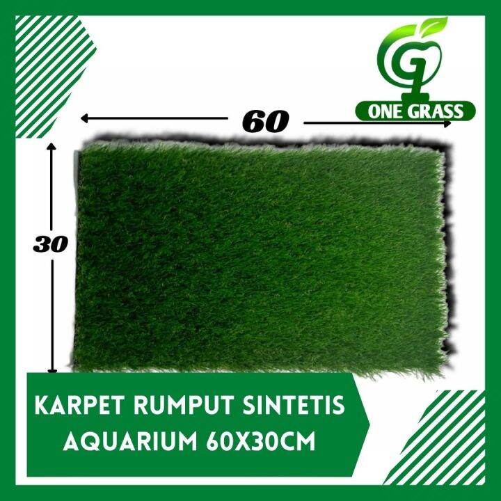 Karpet Rumput Sintetis Aquarium 60x30 Cm Rumput Sintetis Tipe Swiss ...