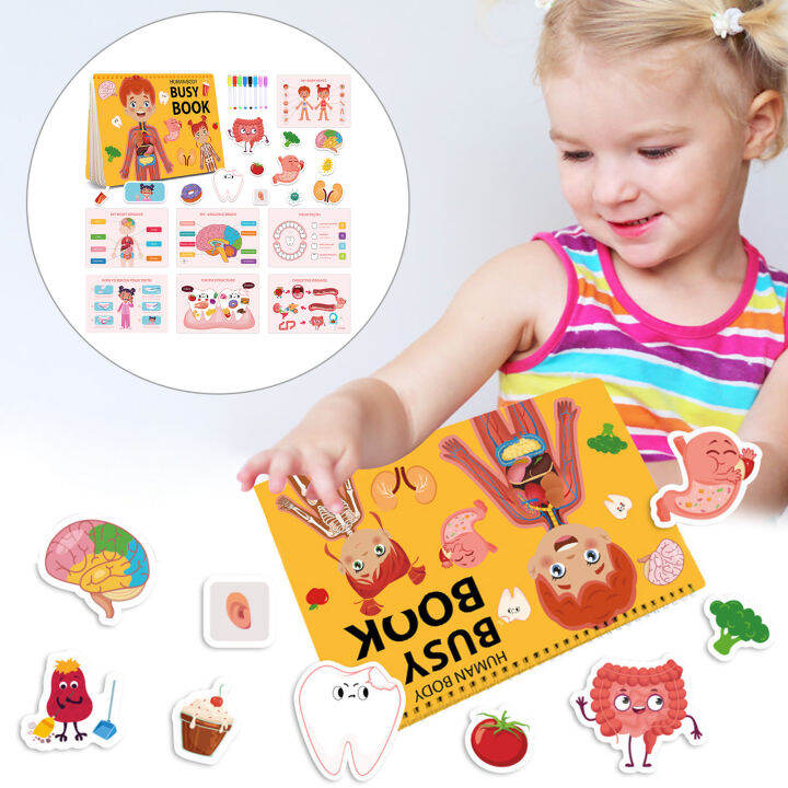 Edena Human Body Education Interactive Learning for Kids Interactive ...