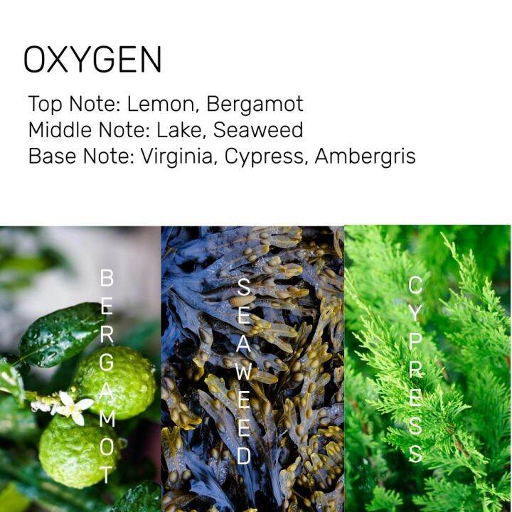 Oxygen - 50ml Candle/ Perfume Fragrance Oil | Lazada