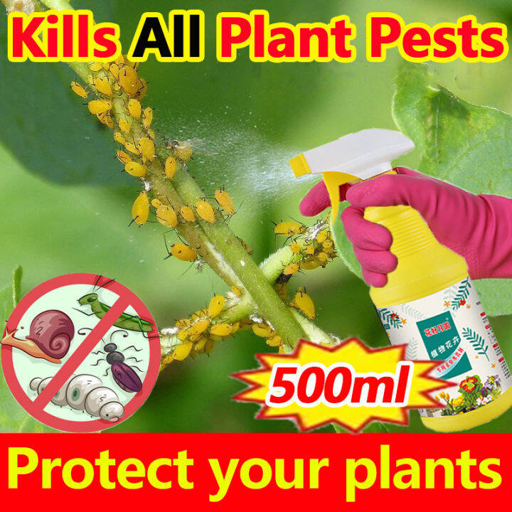 No pests for 10 years Plant organic insecticide 500ML Pesticides for ...