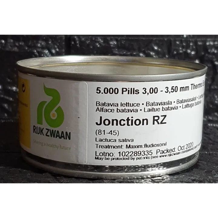 Lettuce Jonction RZ Pelleted Seeds by Rijk Zwaan | Repacked 100pcs ...