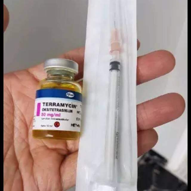 Terramycin dan suntik 1cc injek | Lazada Indonesia