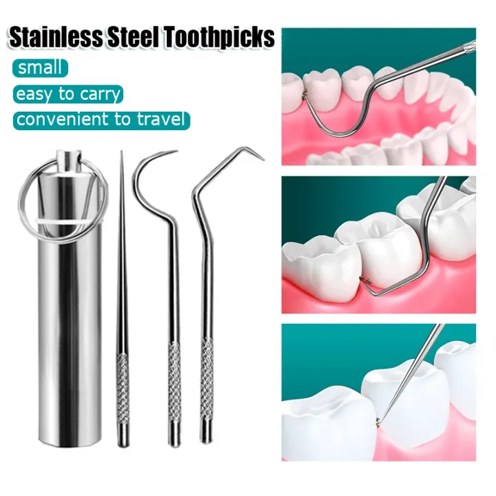 3PCS Toothpick Pocket Set, Reusable Stainless Steel Tooth Cleaning ...