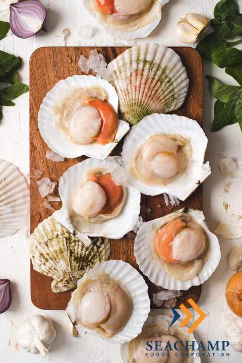 Seachamp Frozen Scallop Halfshell Imported 1kg | Lazada PH