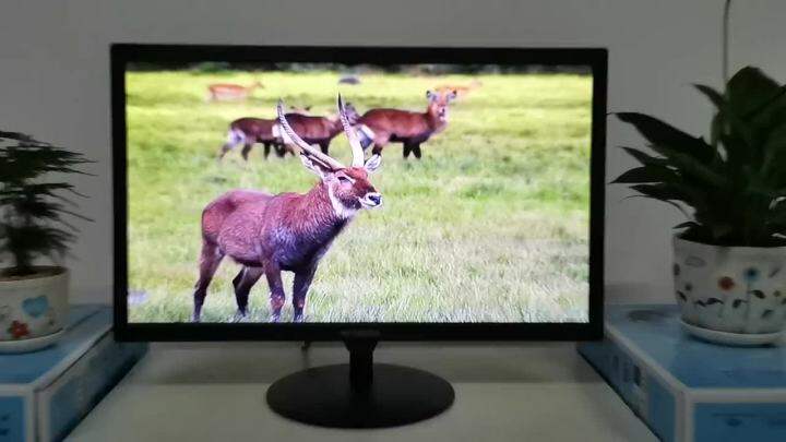 19 Inch LCD TV 17 Inch 15 Inch TV Set 26 Inch 24 Inch 22 Inch Desktop ...