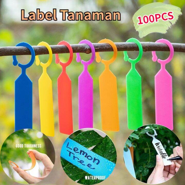 100PCS Label Tanaman Waterproof Label Tag Tanaman Warna Label Tanaman ...