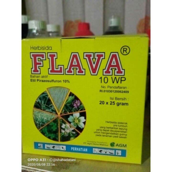 herbisida Flava 10 wp mengendalikan membunuh biji gulma tanaman pada ...
