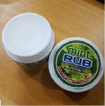 Mint Rub (Menthol Healing Rub) 10g | Lazada PH