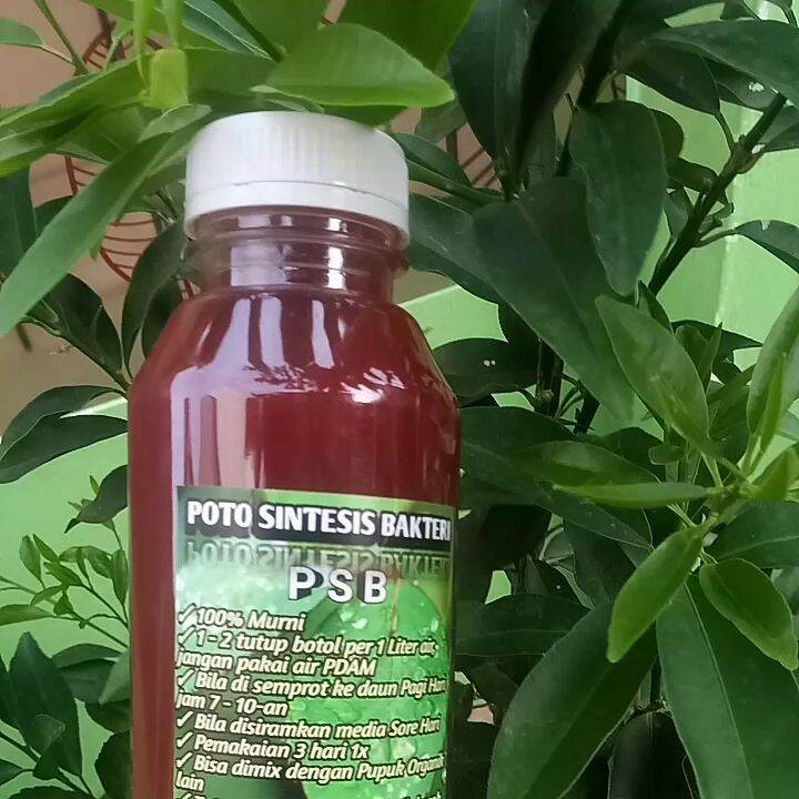 Pupuk PSB Fotointesis Bakteri Merah 500mL MURNI | Lazada Indonesia