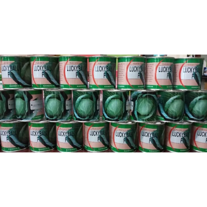 LUCKY BALL CABBAGE F1(50 GRAMS) BY KANEKO SEEDS | Lazada PH