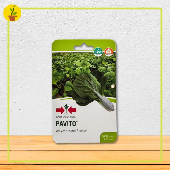 Pechay Seeds (Pavito OP Variety) [6,500 Seeds Packet] - Eastwest By ...