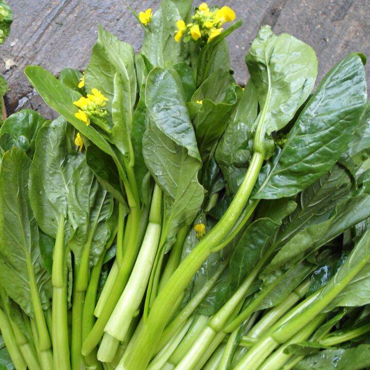 FAMILIFE (1000 seeds) Choy Sum Chinese Flowering Cabbage Vegetable ...