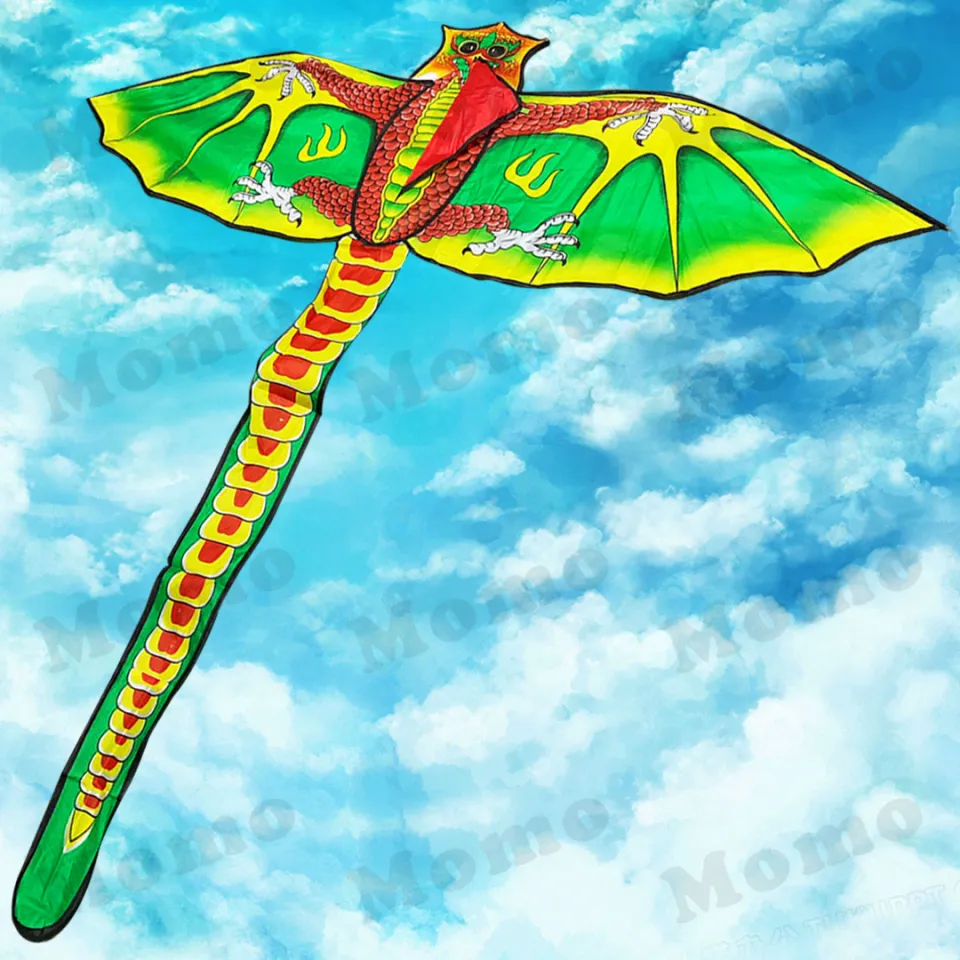 Flat Dragon Kites
