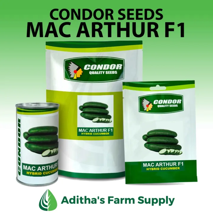 Condor Seeds: MacArthur F1 (Hydrid Cucumber) | Lazada PH
