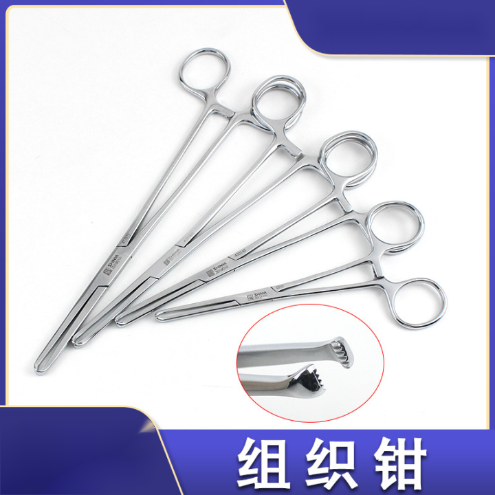 Tissue Forceps Stainless Steel Mouse Tooth Surgical Forceps Alice ...
